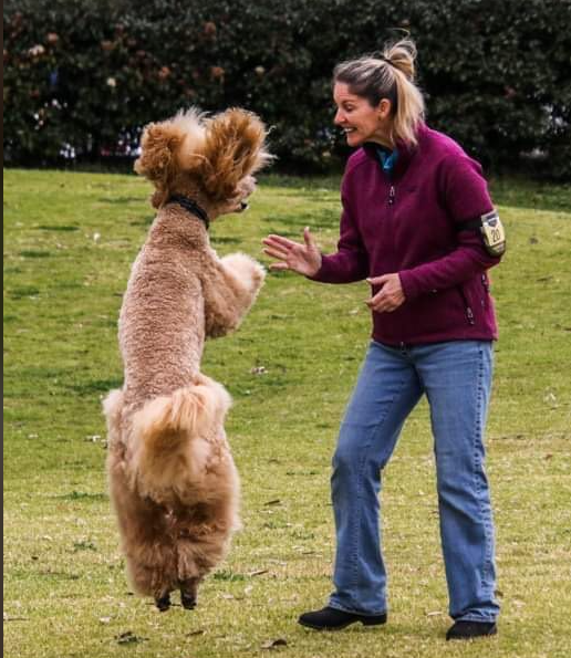 Fenzi Dog Sports Academy - Home