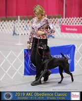 Fenzi Dog Sports Academy - Home