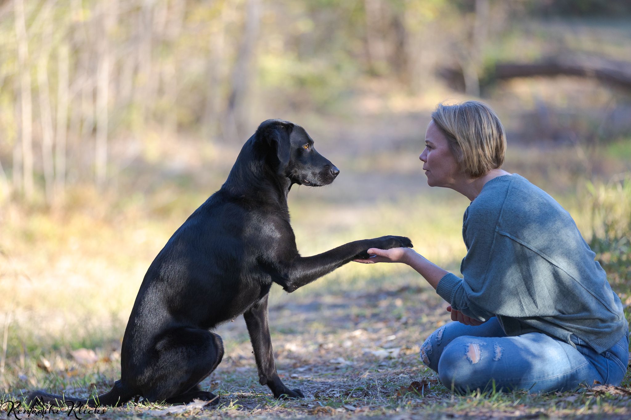 Fenzi Dog Sports Academy - Home