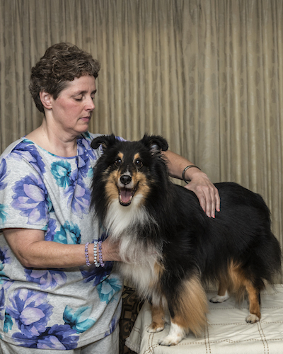 Fenzi Dog Sports Academy - Home