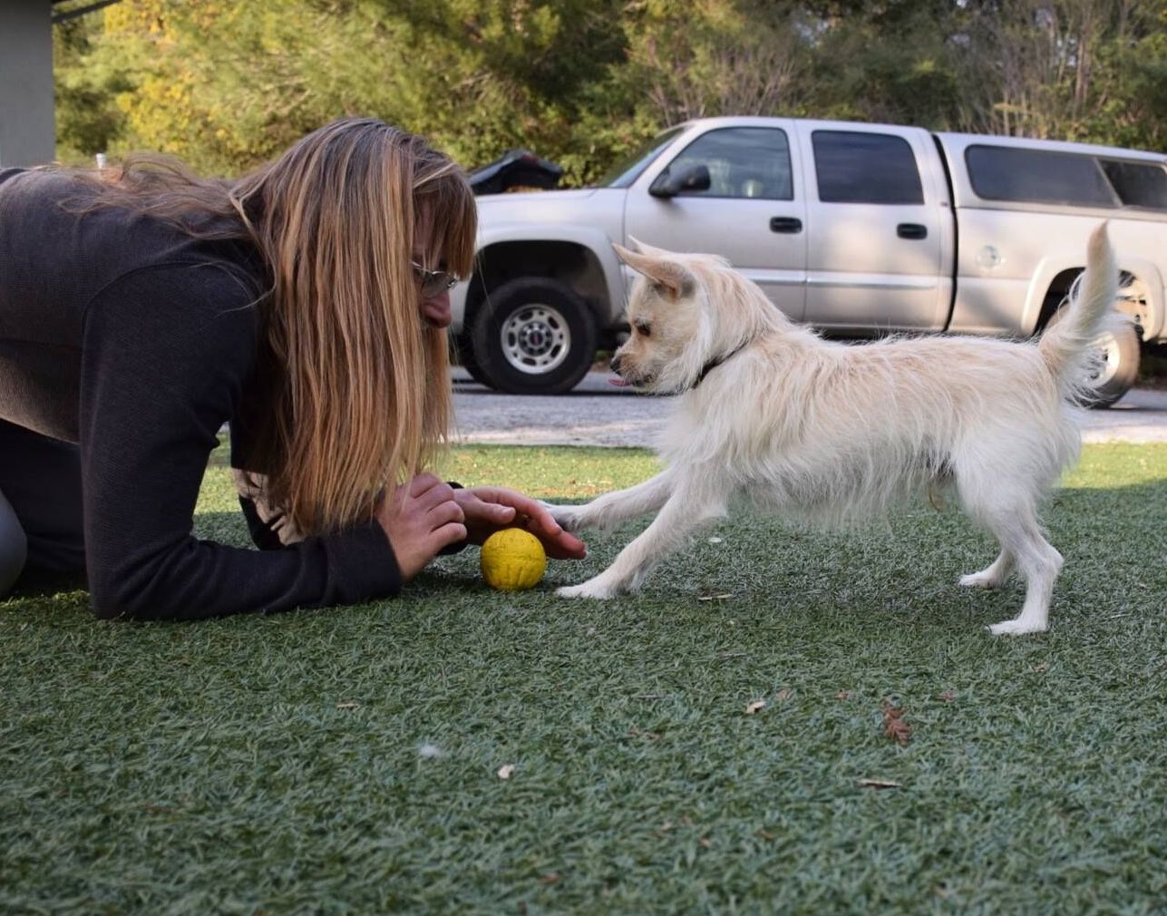 Fenzi Dog Sports Academy - Home