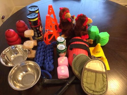 Fenzi Dog Sports Academy - Home