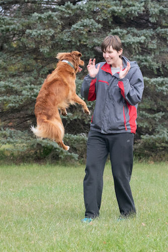 Fenzi Dog Sports Academy - Home