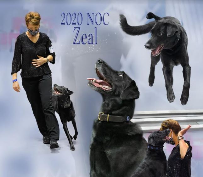 Fenzi Dog Sports Academy - Home