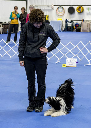 Fenzi Dog Sports Academy - Home