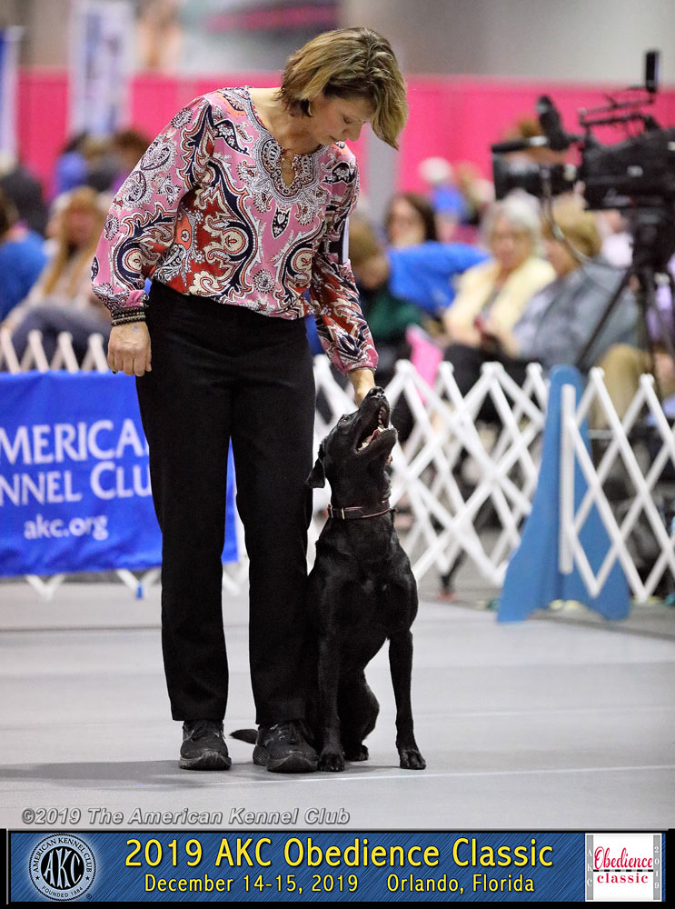 Fenzi Dog Sports Academy - Home